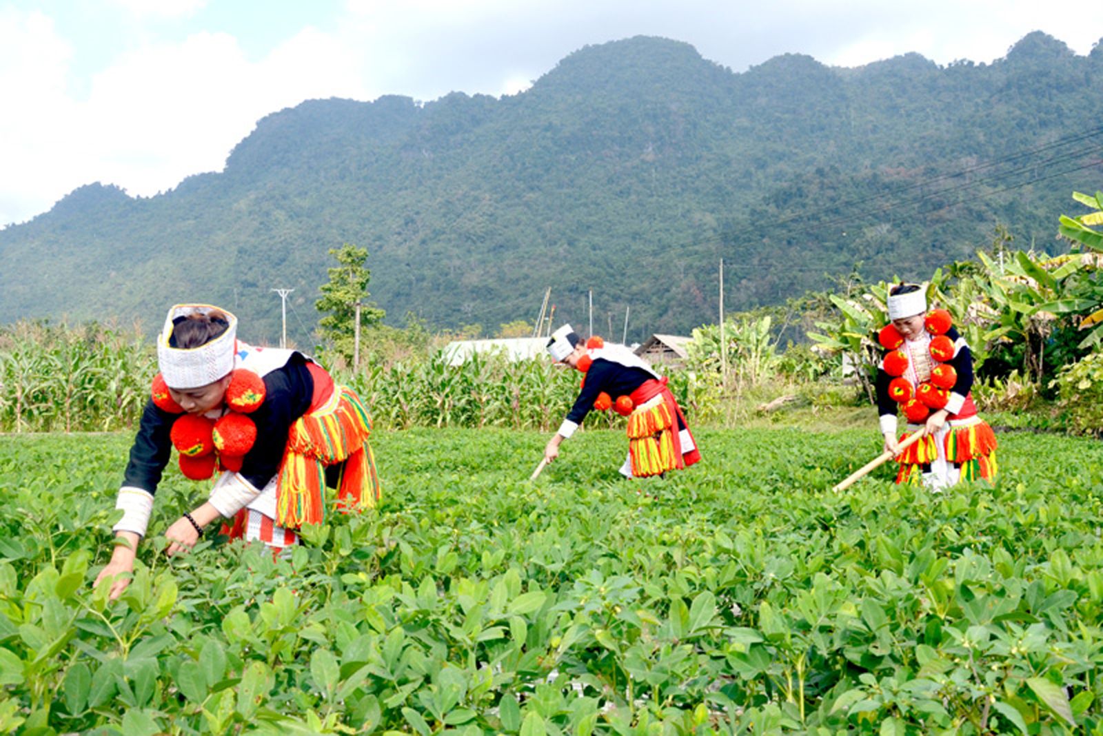 Việt Nam Quan Tâm Bảo đảm Quyền Của Người Dân Tộc Thiểu Số